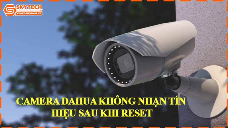 Camera Dahua không nhận tín hiệu sau khi reset